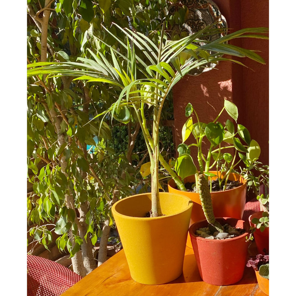 Macetero Bio Arena Alto Mostaza Decogreen